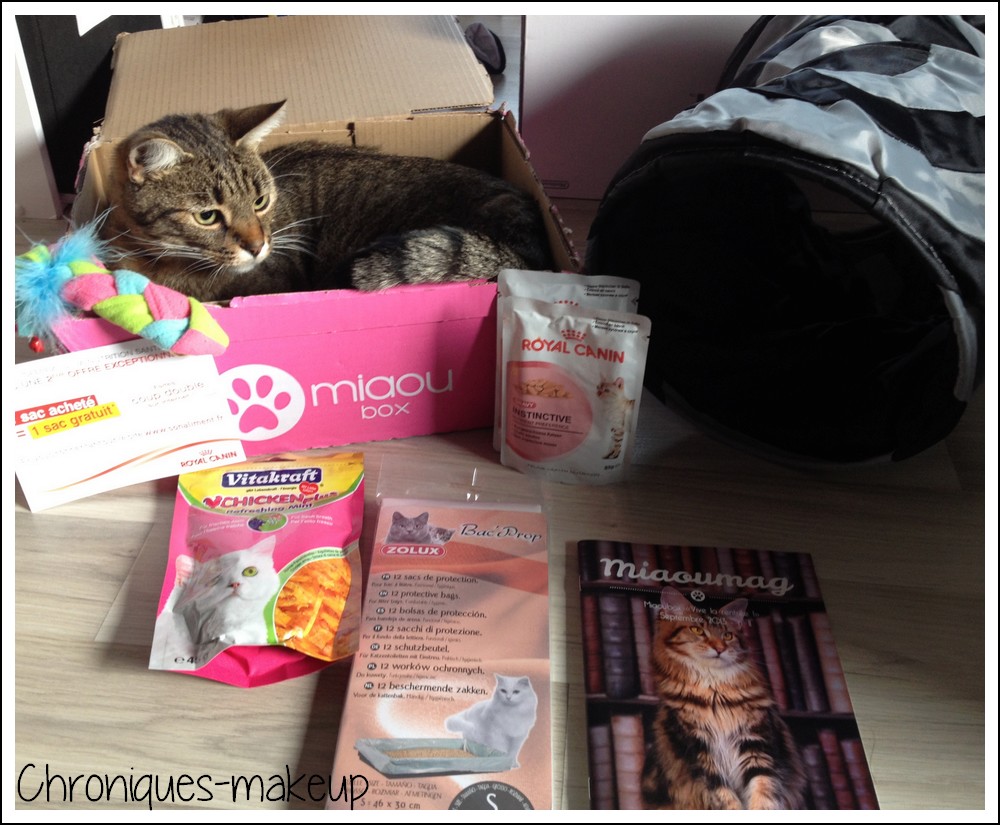 Les box pour chats : des cadeaux tous les mois ! - Mamaw.fr